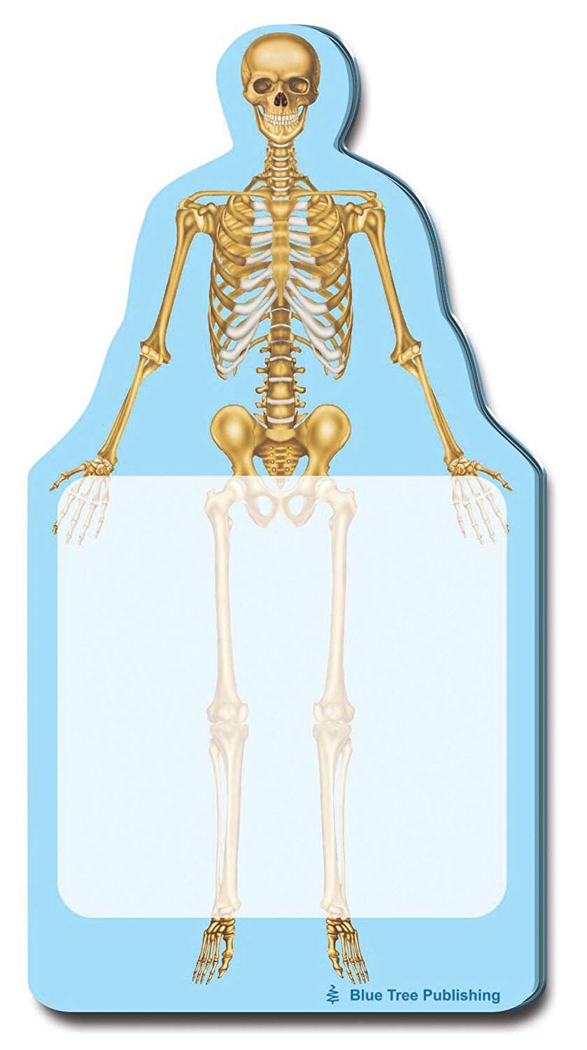 Skeleton Sticky Note - Etsy