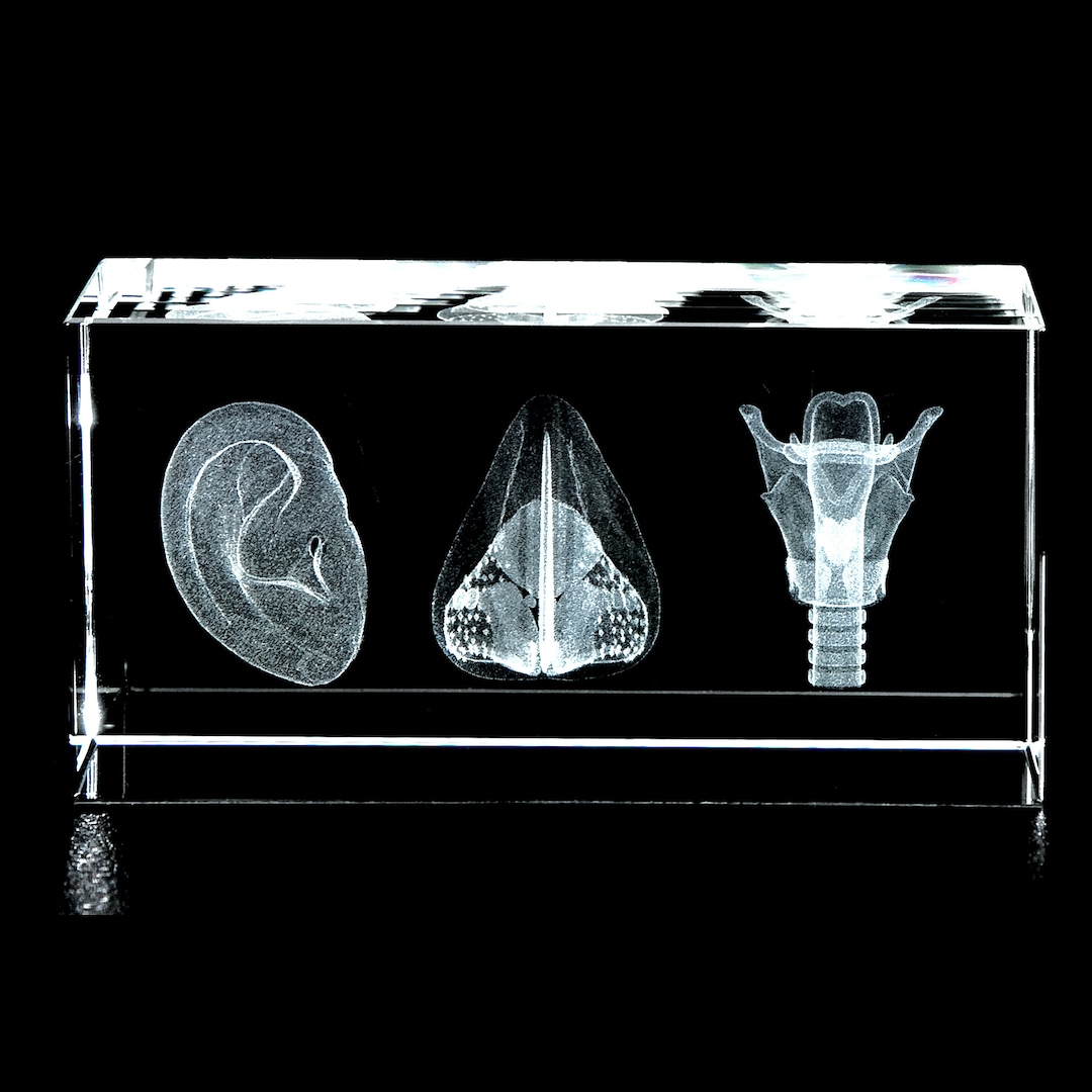 ENT Three Image Crystal Art - Etsy