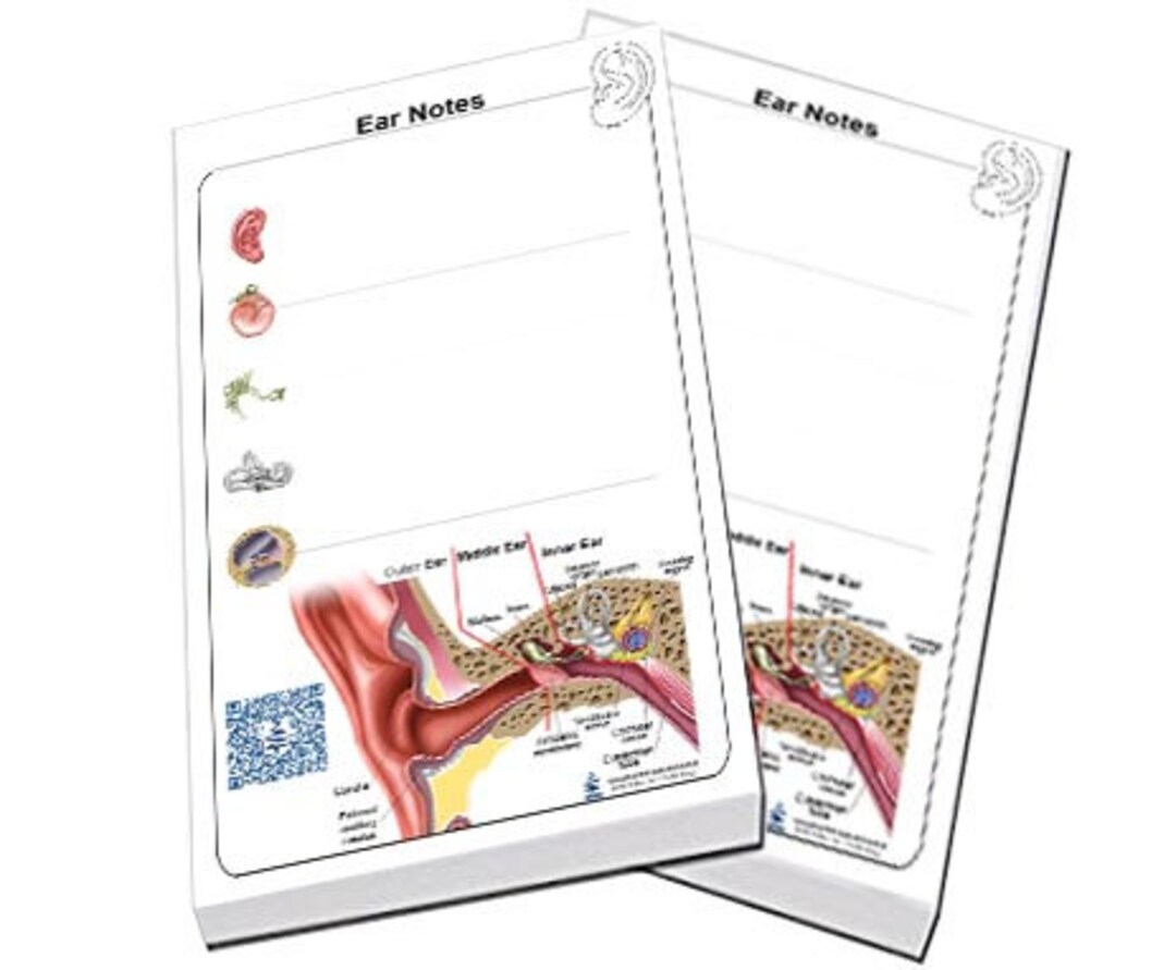 Ear Anatomy Note Pads 2 Pack With Magnet and QR Code to Link Hearing ...