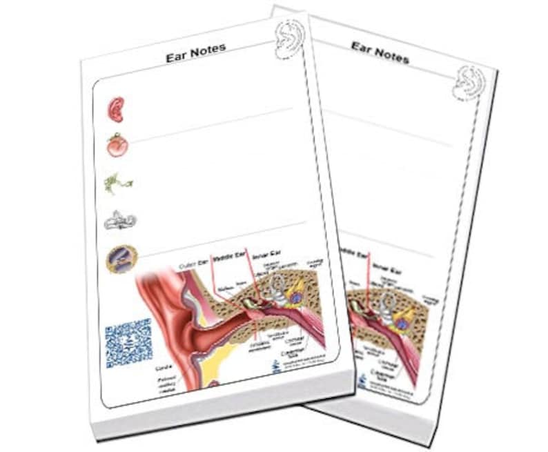Ear Anatomy Note Pads 2 Pack With Magnet and QR Code to Link Hearing ...