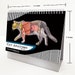 Dog and Cat Veterinary Anatomy Flip Charts, Anatomy & Veterinary ...