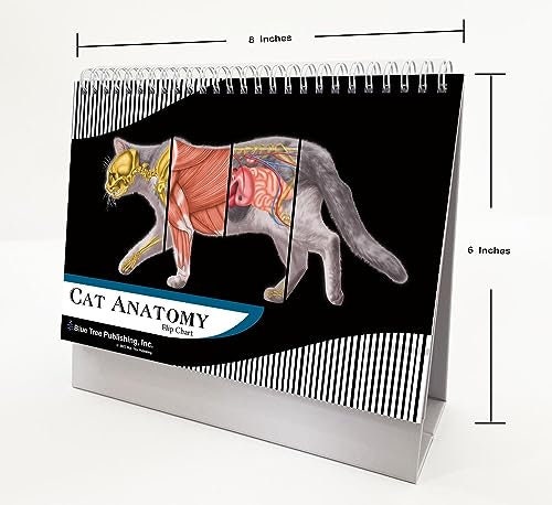 Dog and Cat Veterinary Anatomy Flip Charts, Anatomy & Veterinary ...
