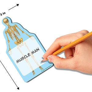 Skeleton Sticky Note - Etsy