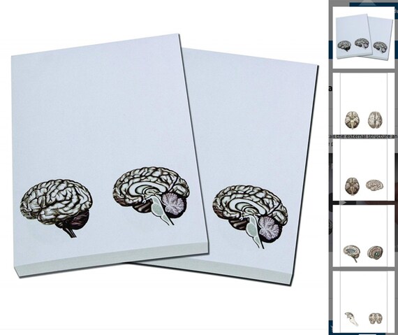 Brain Flip Note Pad 2 Pack - Etsy