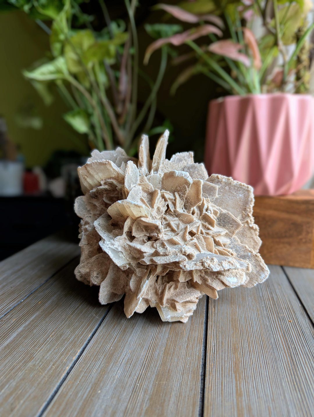 XL Desert Rose Specimen, Selenite Gypsum Rose, Natural Gypsum Crystal ...