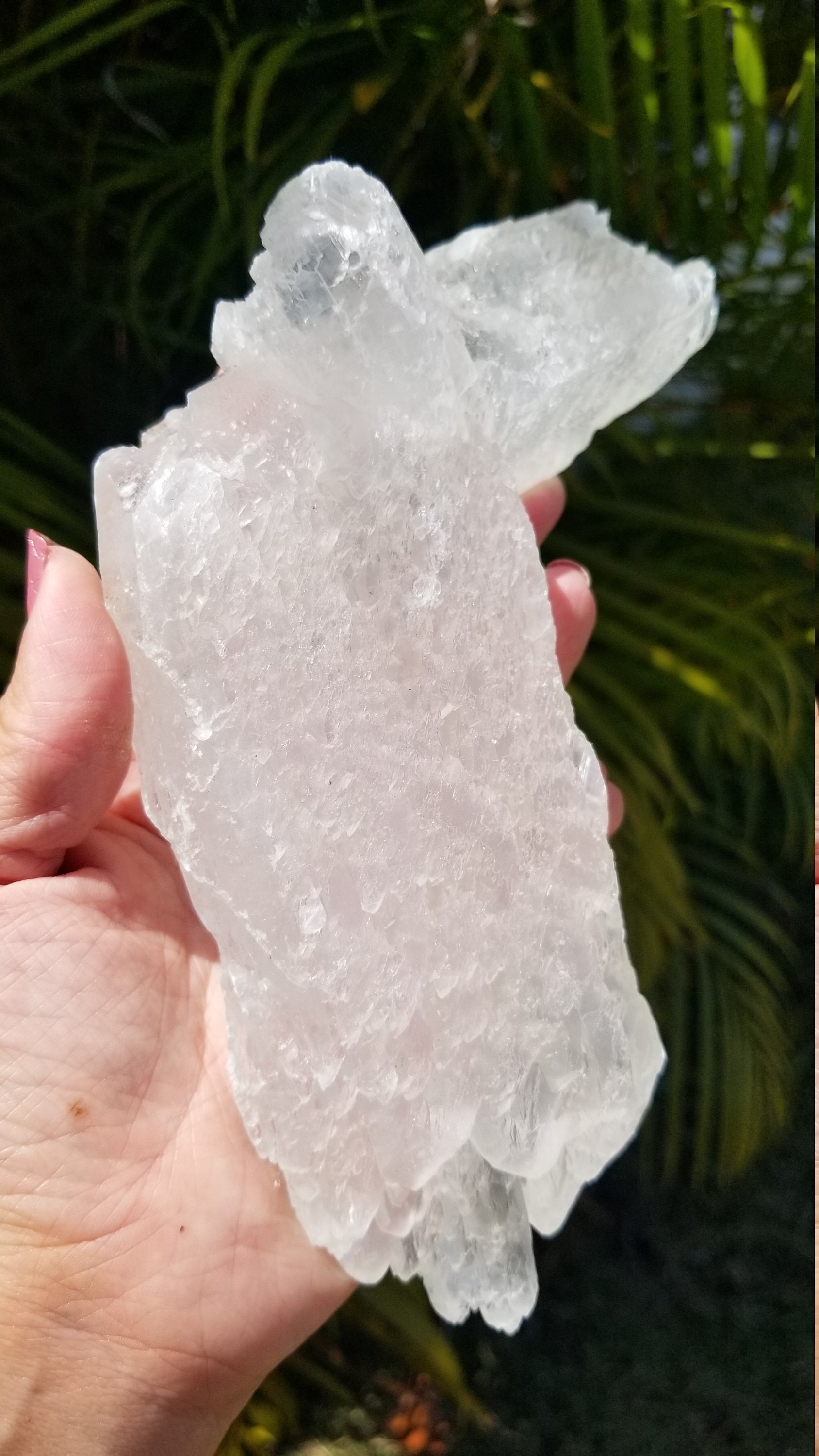 Large Fishtail or Angel Wing Selenite for Crystal Charging | Etsy