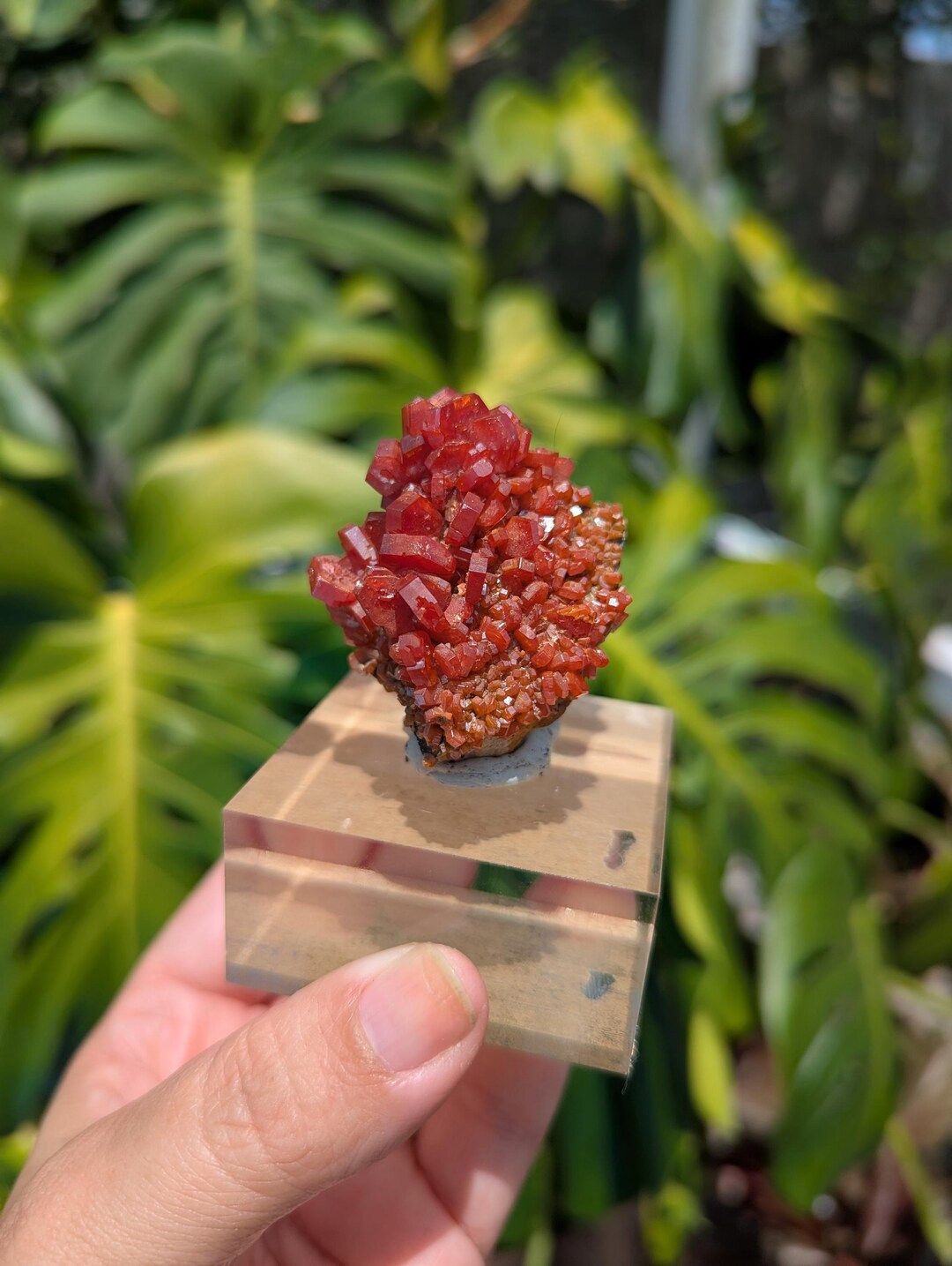 Stellar Red Vanadinite Specimen, Vanadinite Hexagonal Crystal Display ...