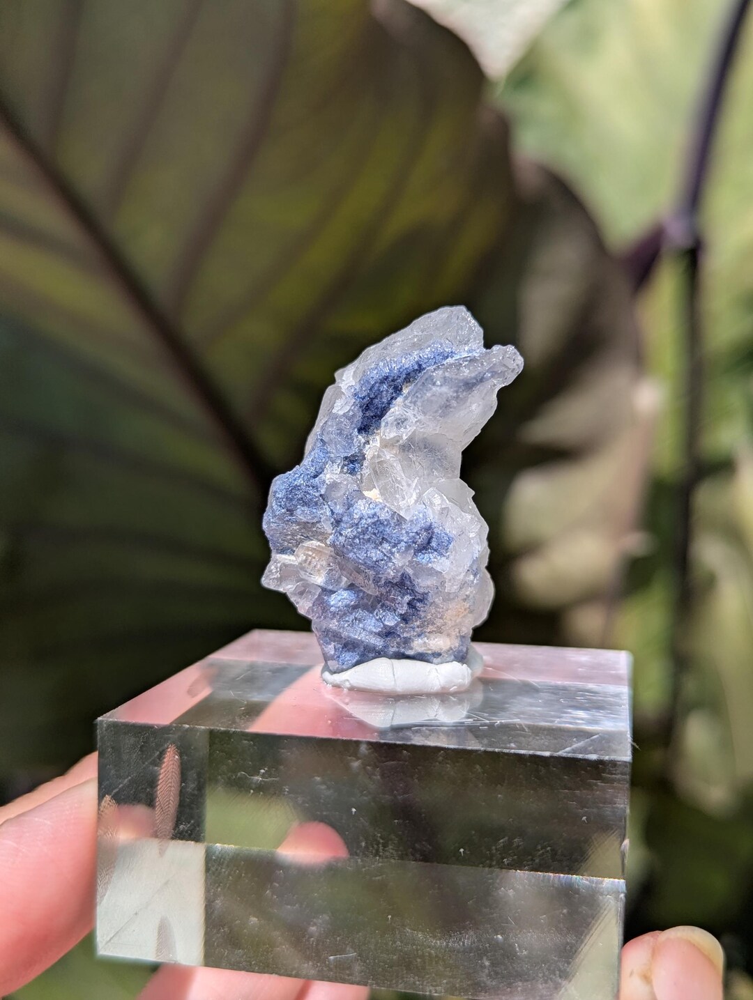 Blue Dumortierite in Quartz Specimen, Raw Quartz With Blue Dumortierite ...