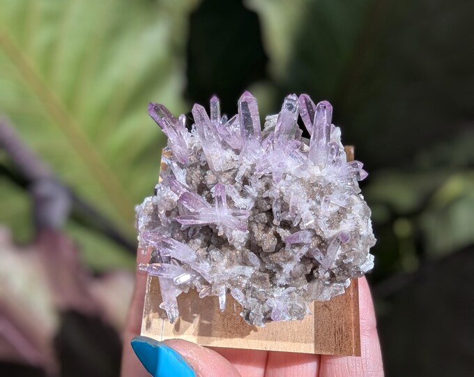 Vera Cruz Amethyst, Vera Cruz Specimen, High Quality Minerals ...