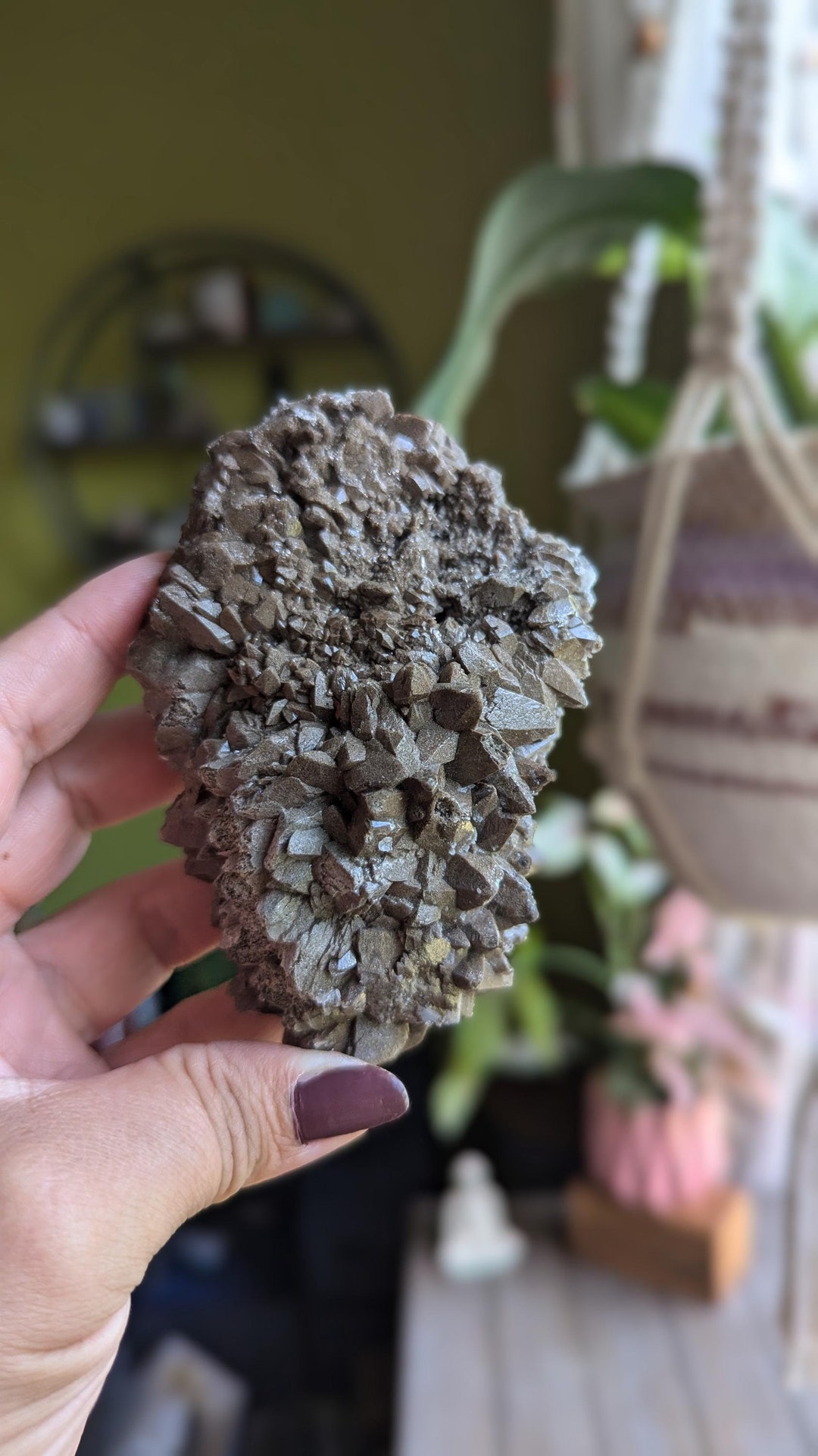 Chocolate Dog Tooth Calcite Specimen, Dog Toothed Spar, Crystal Calcite ...