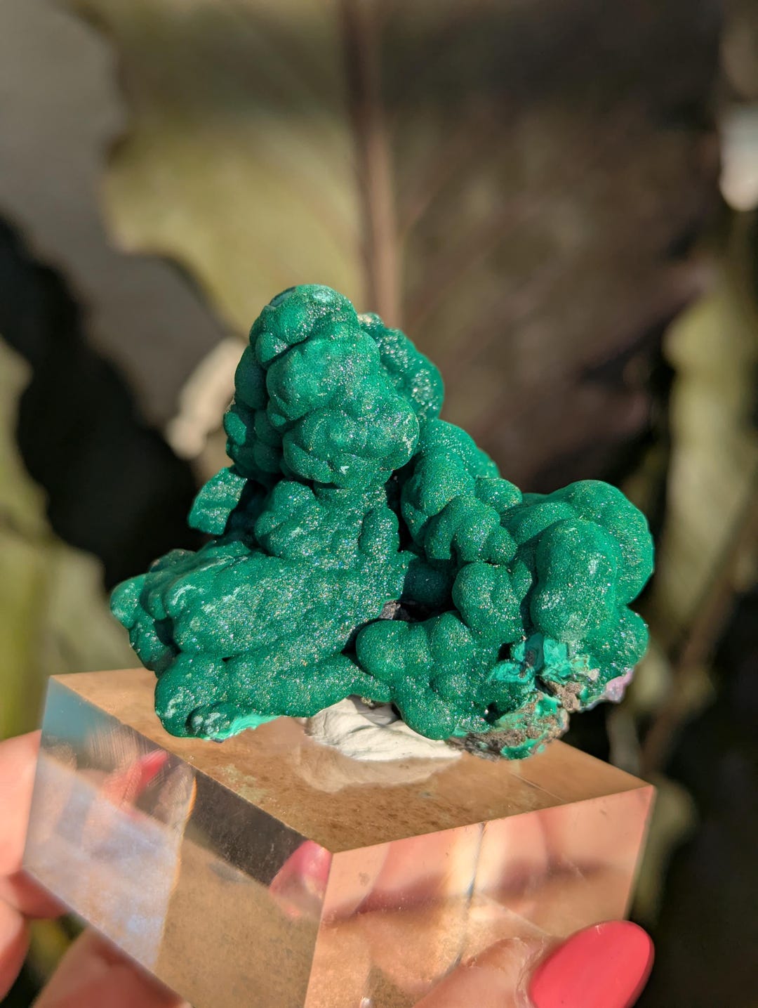Rare Malachite Specimen With Pink Cobaltoan Calcite, Sparkling ...