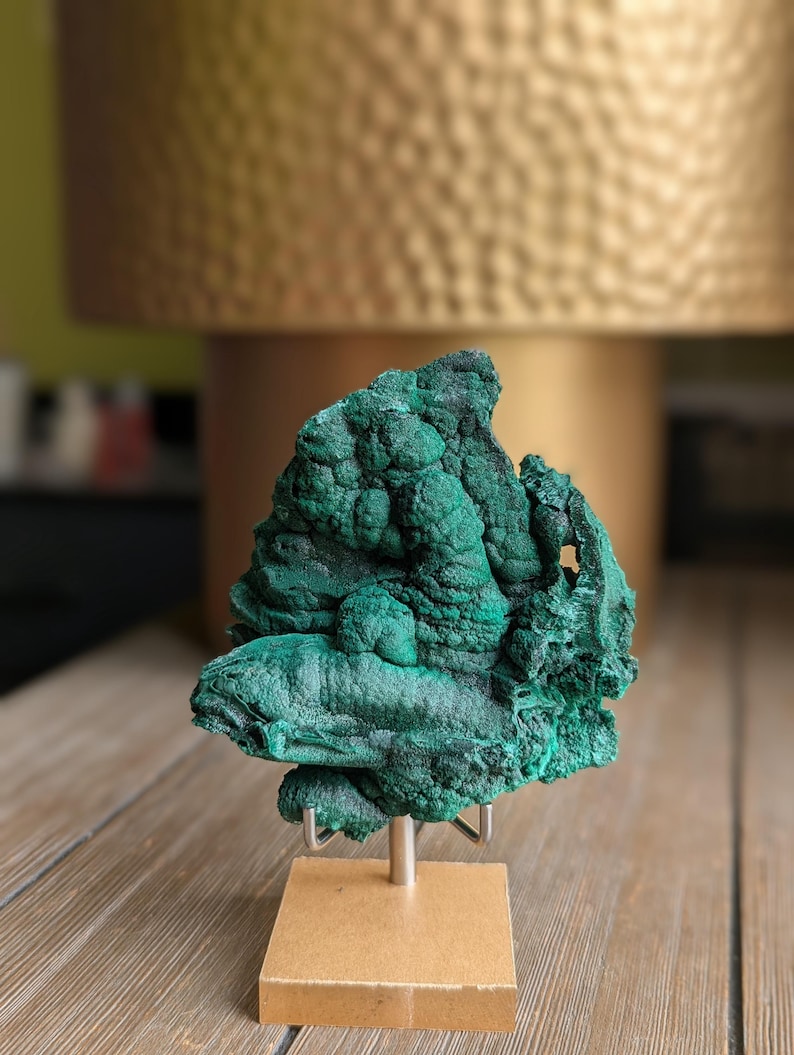 Sparkling Malachite Specimen, Botryoidal Malachite on Stand, Collector ...