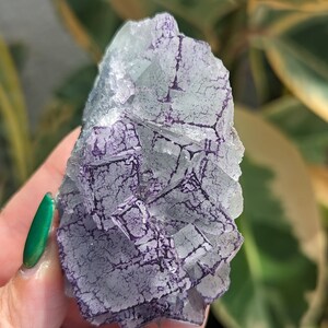 QR Code Fluorite Specimen, Bi Colored Fluorite Cube Specimen, Purple ...