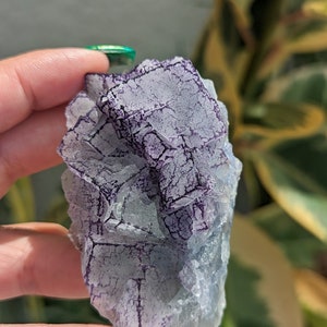QR Code Fluorite Specimen, Bi Colored Fluorite Cube Specimen, Purple ...