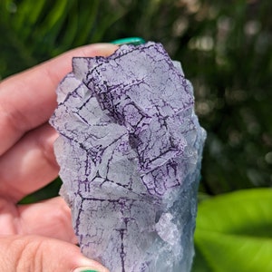 QR Code Fluorite Specimen, Bi Colored Fluorite Cube Specimen, Purple ...