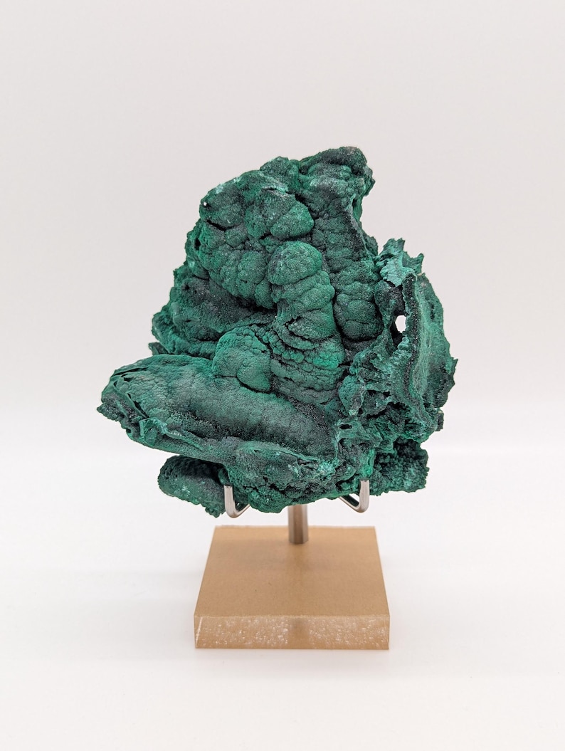 Sparkling Malachite Specimen, Botryoidal Malachite on Stand, Collector ...