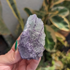 QR Code Fluorite Specimen, Bi Colored Fluorite Cube Specimen, Purple ...