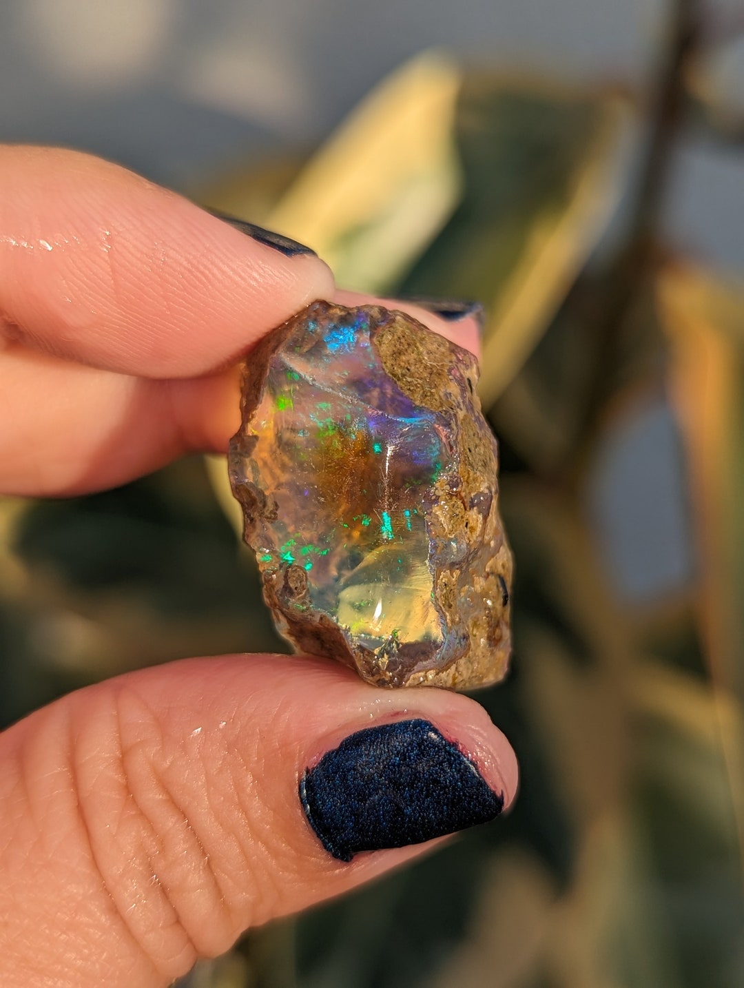 Floating Ethiopian Water Opal, Welo Opal Mineral Specimen for ...