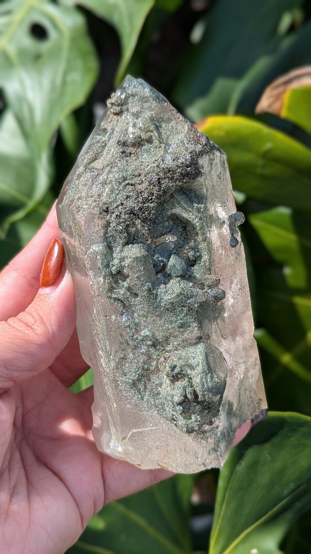 Large Himalayan Quartz Specimen, Chlorite Included Himalayan Quartz ...