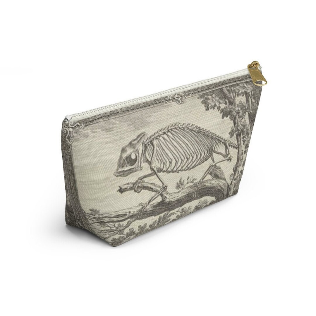 Chameleon Pouch, Lizard Pouch, Skeleton Gift, Animal Anatomy ...