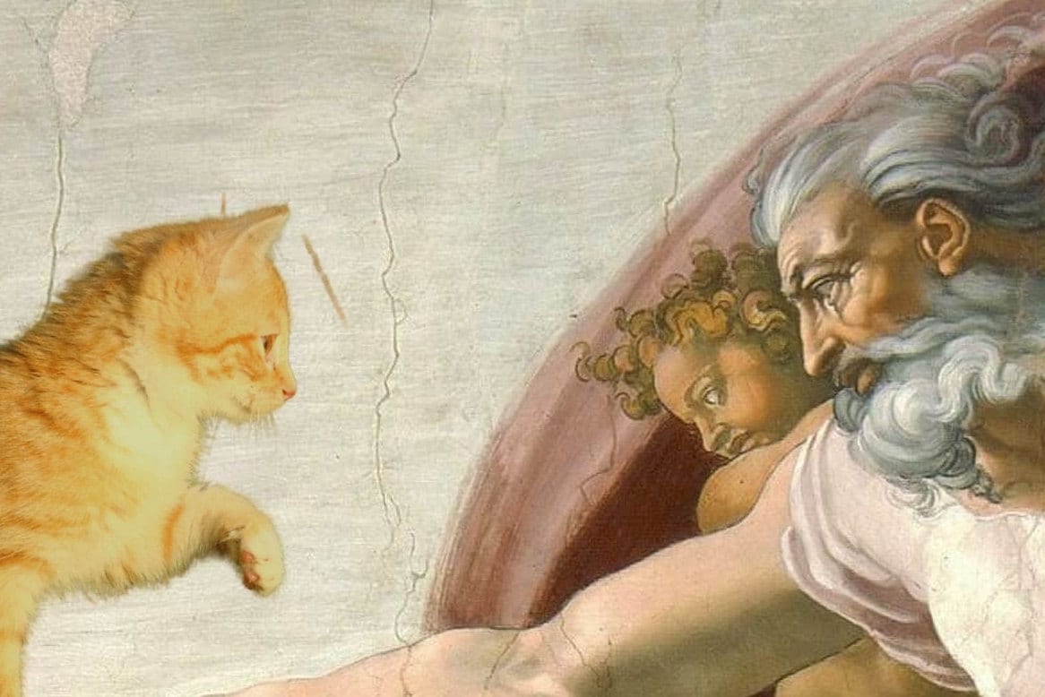 Cat Tapestry Hand of God the Creation of Adam Sistine - Etsy