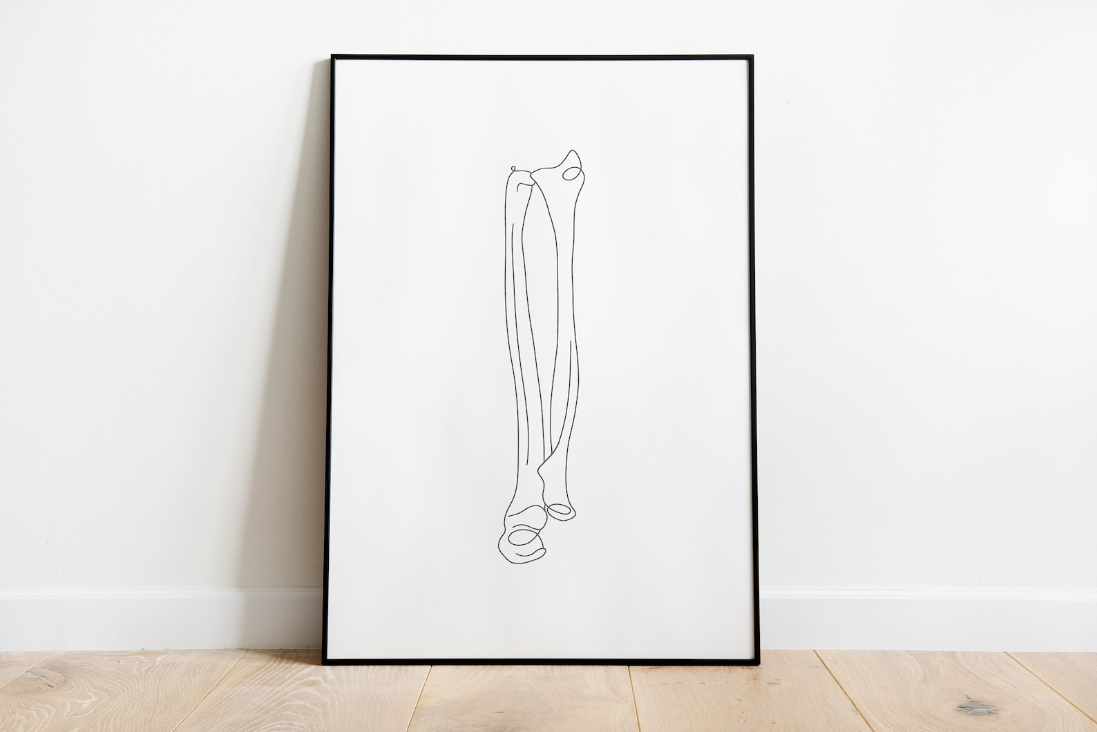 Radius and Ulna Line Art | Abstract Art Printable, Minimalist Line ...