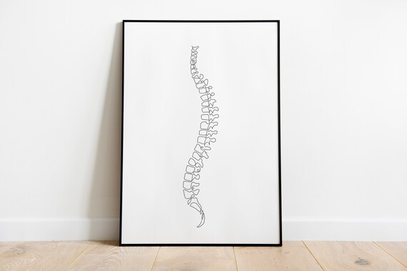 Lateral Spine Line Art Abstract Art Printable Minimalist | Etsy