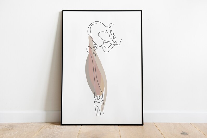 Muscles of the Anterior Thigh | Abstract Art Printable, Minimalist Line ...
