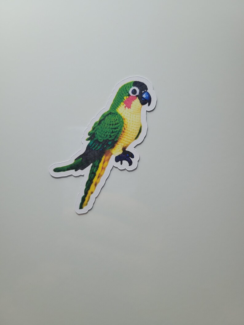 Animal Magnets, Crochet Picture Magnets, Squirrel Magnet, Cockatiel ...