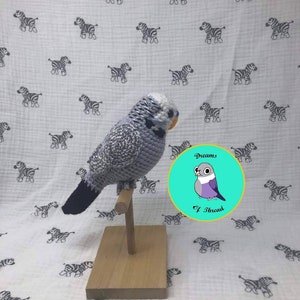 Parakeet, Budgie Replica, Pet Remembrance Gift, Movable Parakeet, Free ...