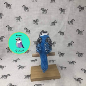Parakeet, Budgie Replica, Pet Remembrance Gift, Movable Parakeet, Free ...