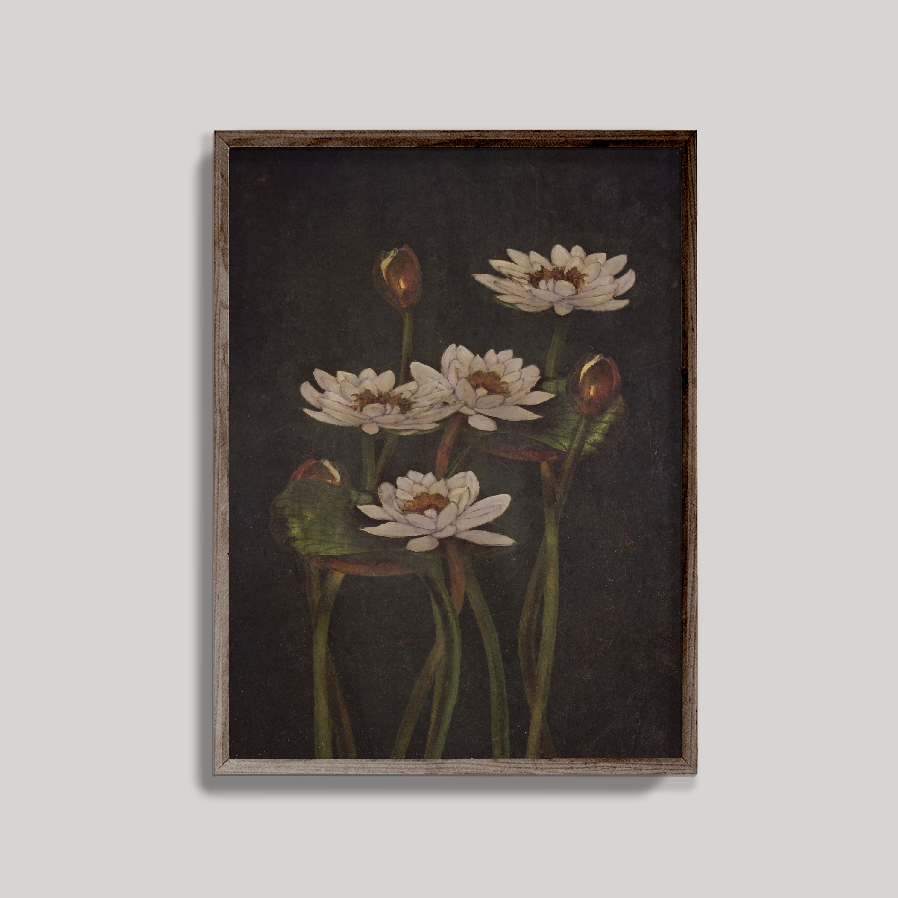 Lily Wall Art Dark Floral Wall Art Black Background Print - Etsy