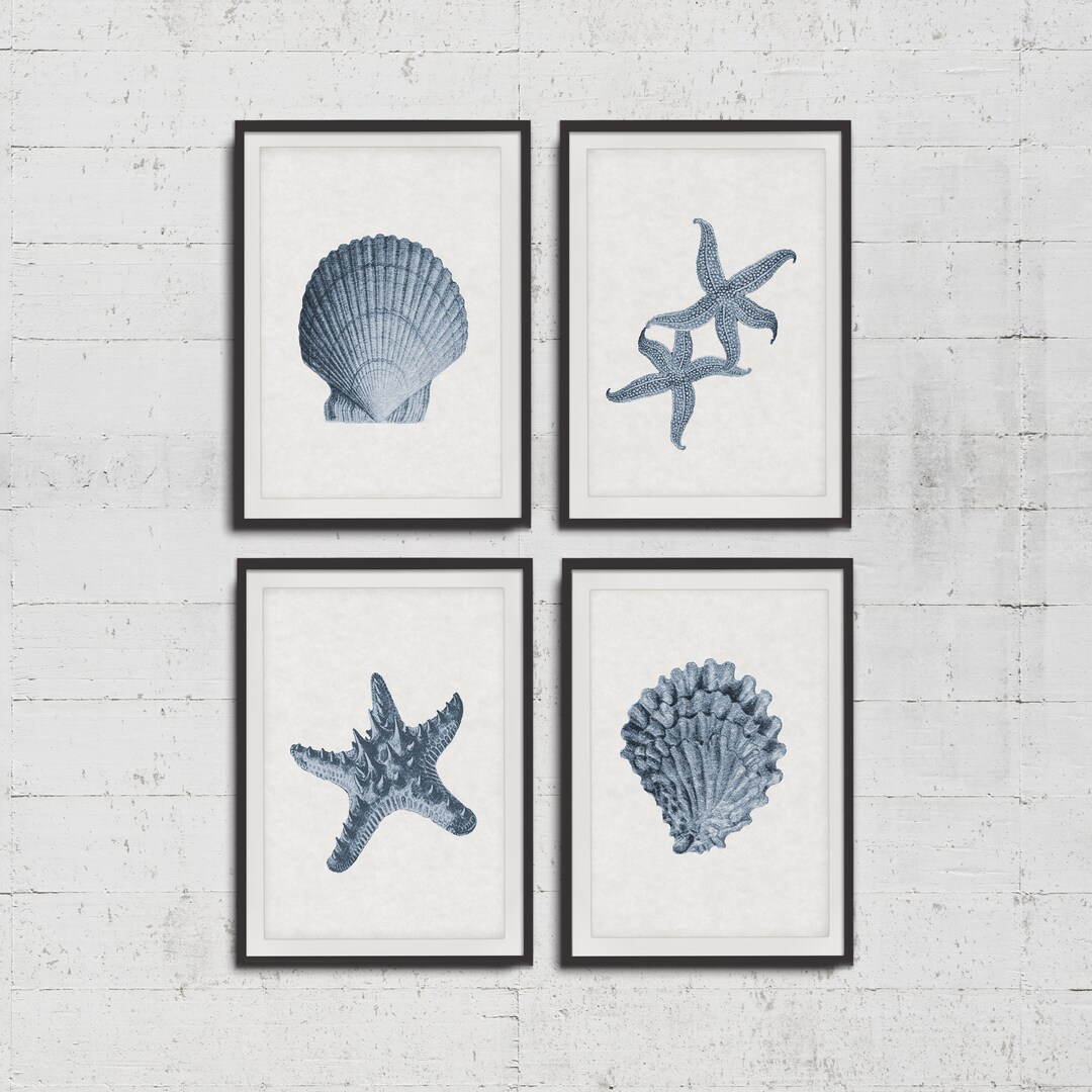 Shell Prints, Starfish Wall Art, 4 Piece Wall Art, Nautical Prints Set ...