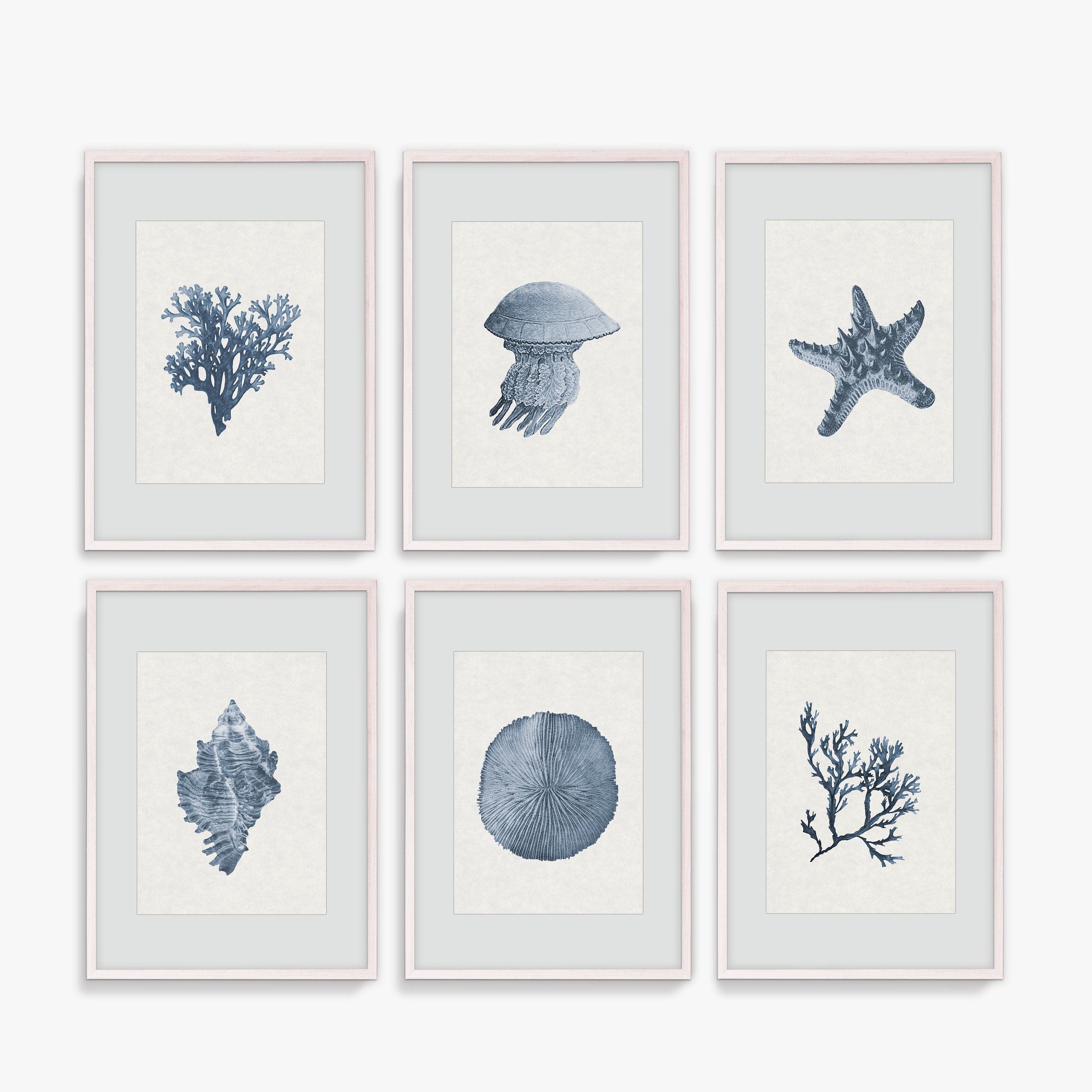 Nautical Wall Art Sea Shell Prints Gallery Wall Set Navy - Etsy