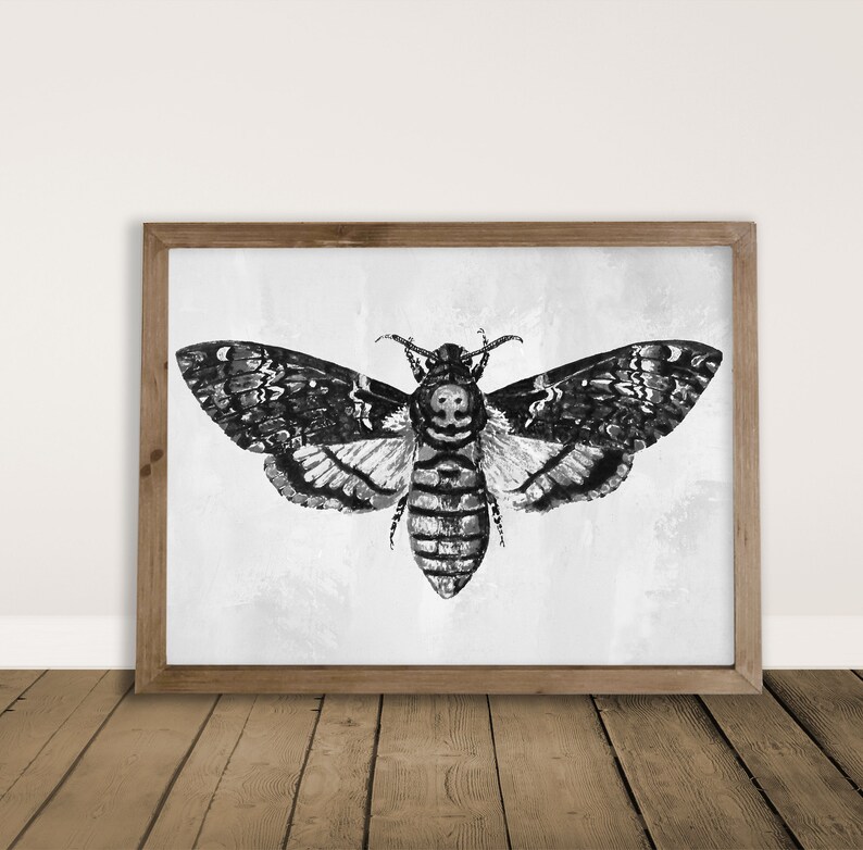 Dark Wall Art, Downloadable Art Prints, Death Head Moth Art, Printable ...