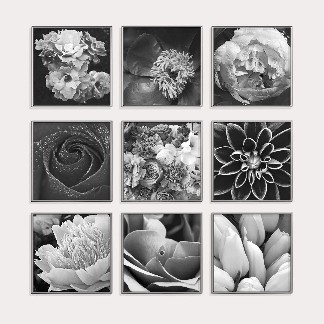 Black and White Flower Prints, Set of 9 Prints, Black Botanical Art ...
