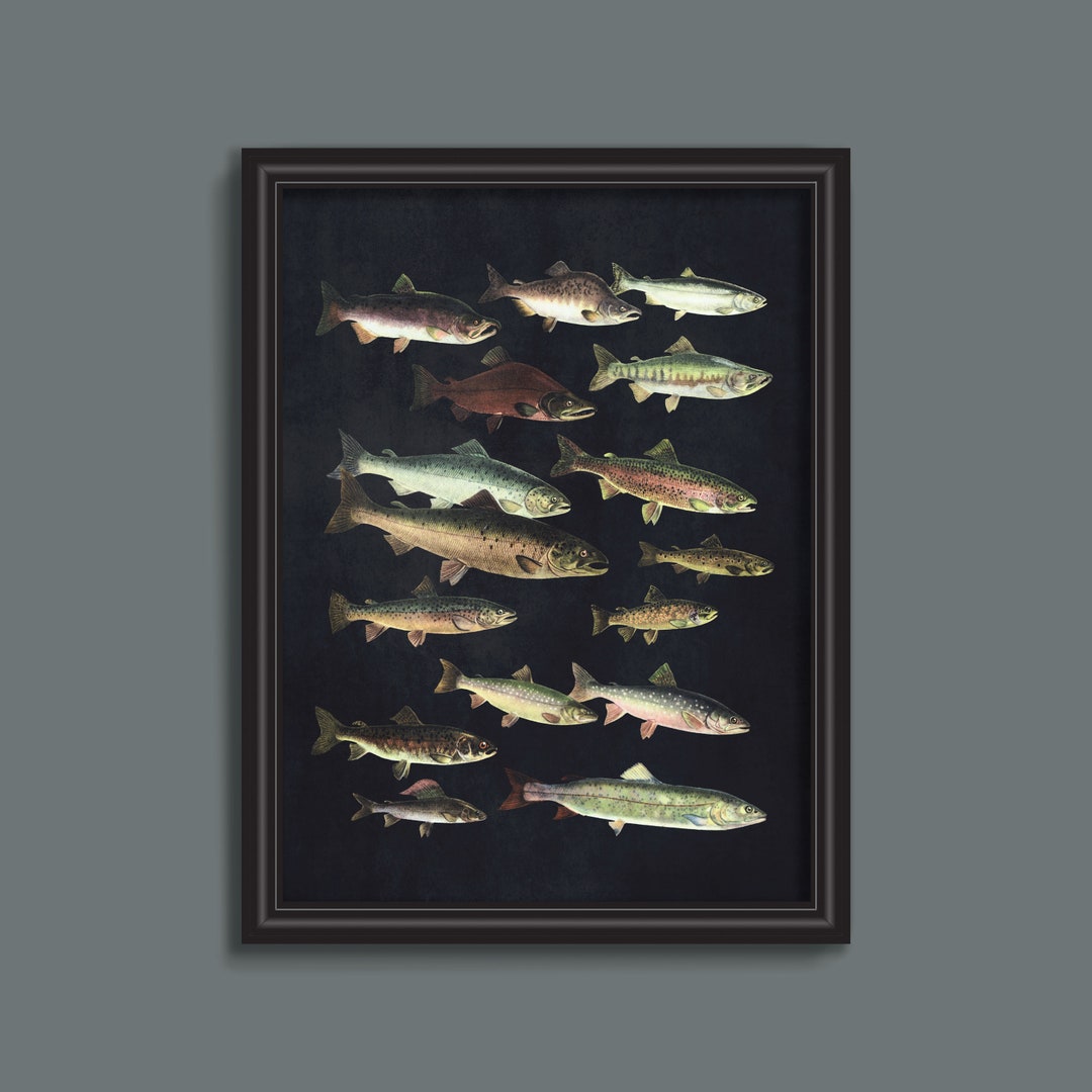 Dark Wall Art, Fish Print, Nautical Prints, Black Background Art ...