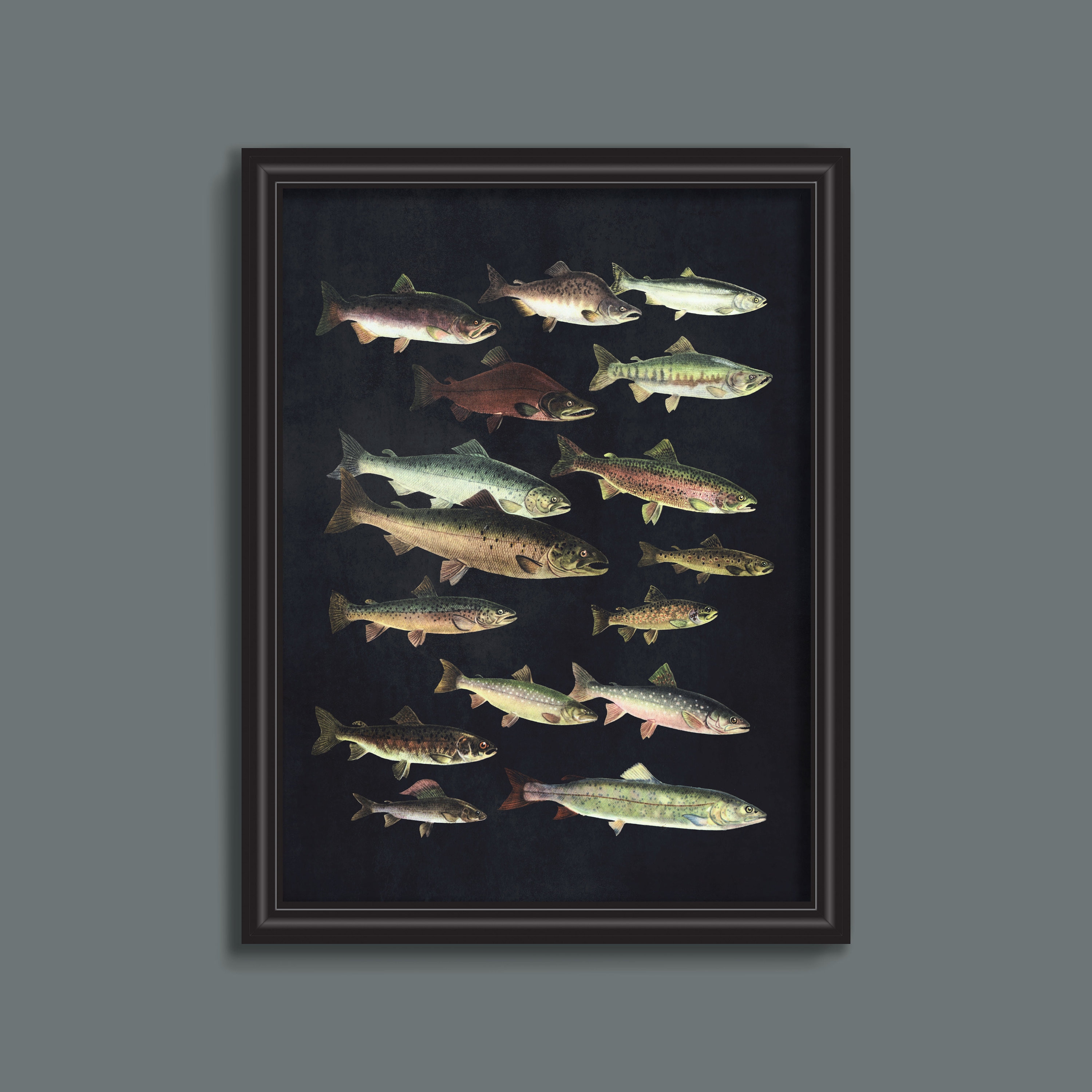 Dark Wall Art Fish Print Nautical Prints Black Background | Etsy