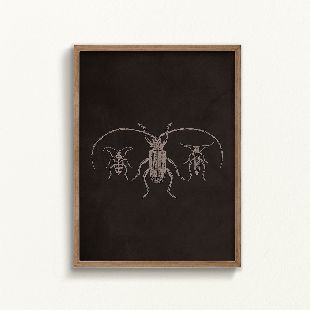 Beetle Print, Insect Print, Dark Academia Prints, Digital Prints ...
