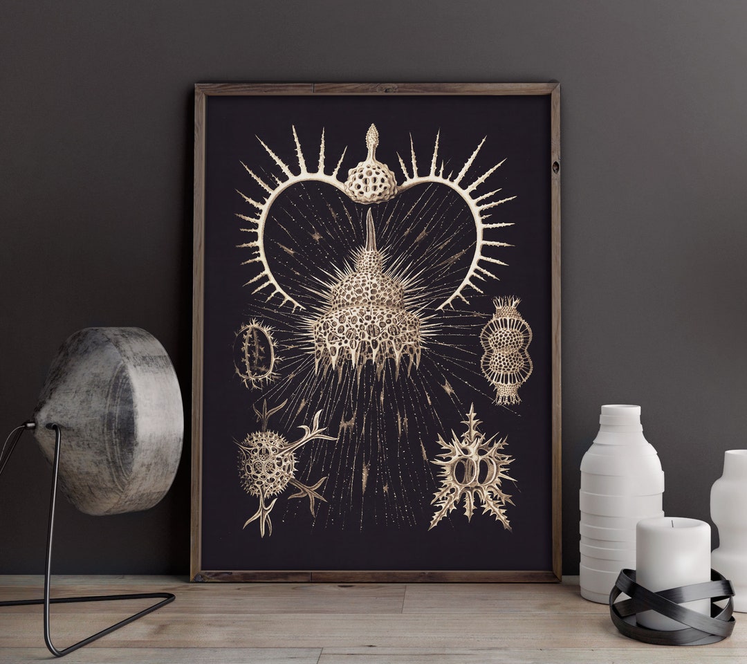 Dark Nautical Poster, Black Background Print, Black White Print ...