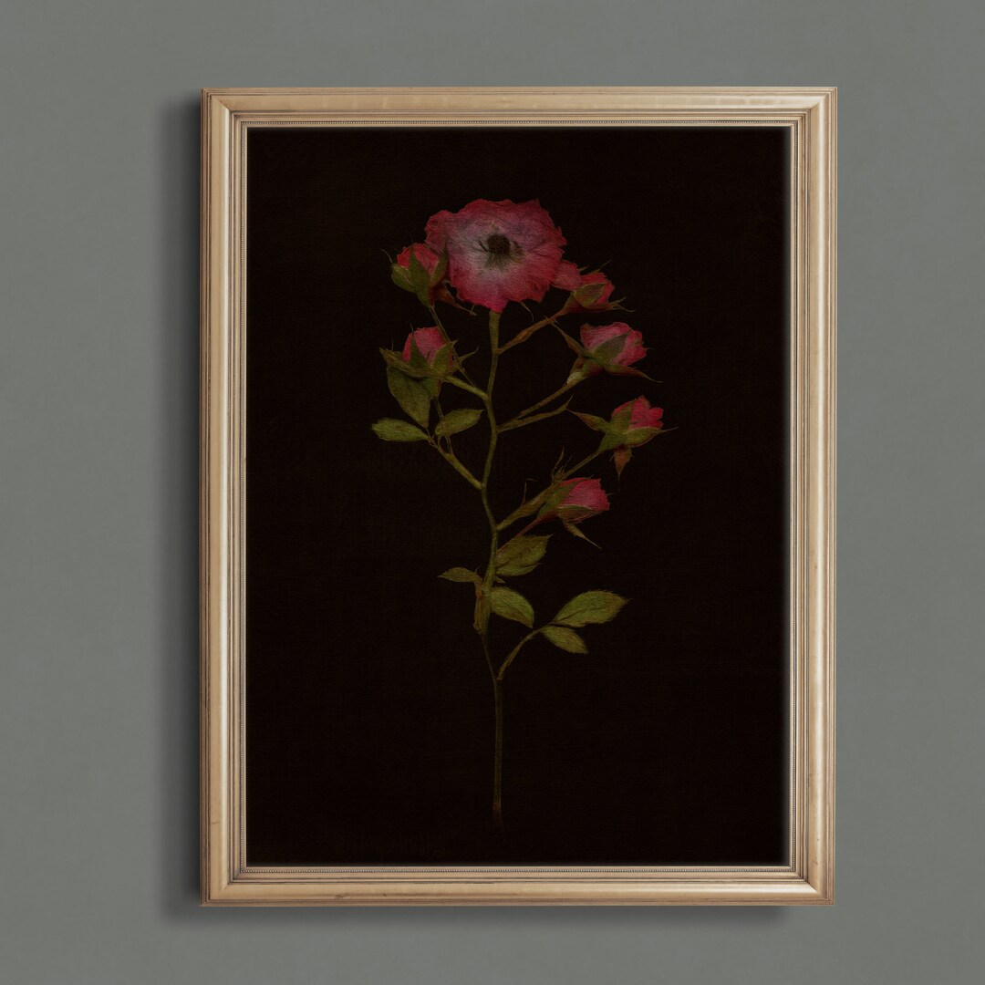 Red Roses Print Dark Floral Wall Art Vintage Rose Print - Etsy