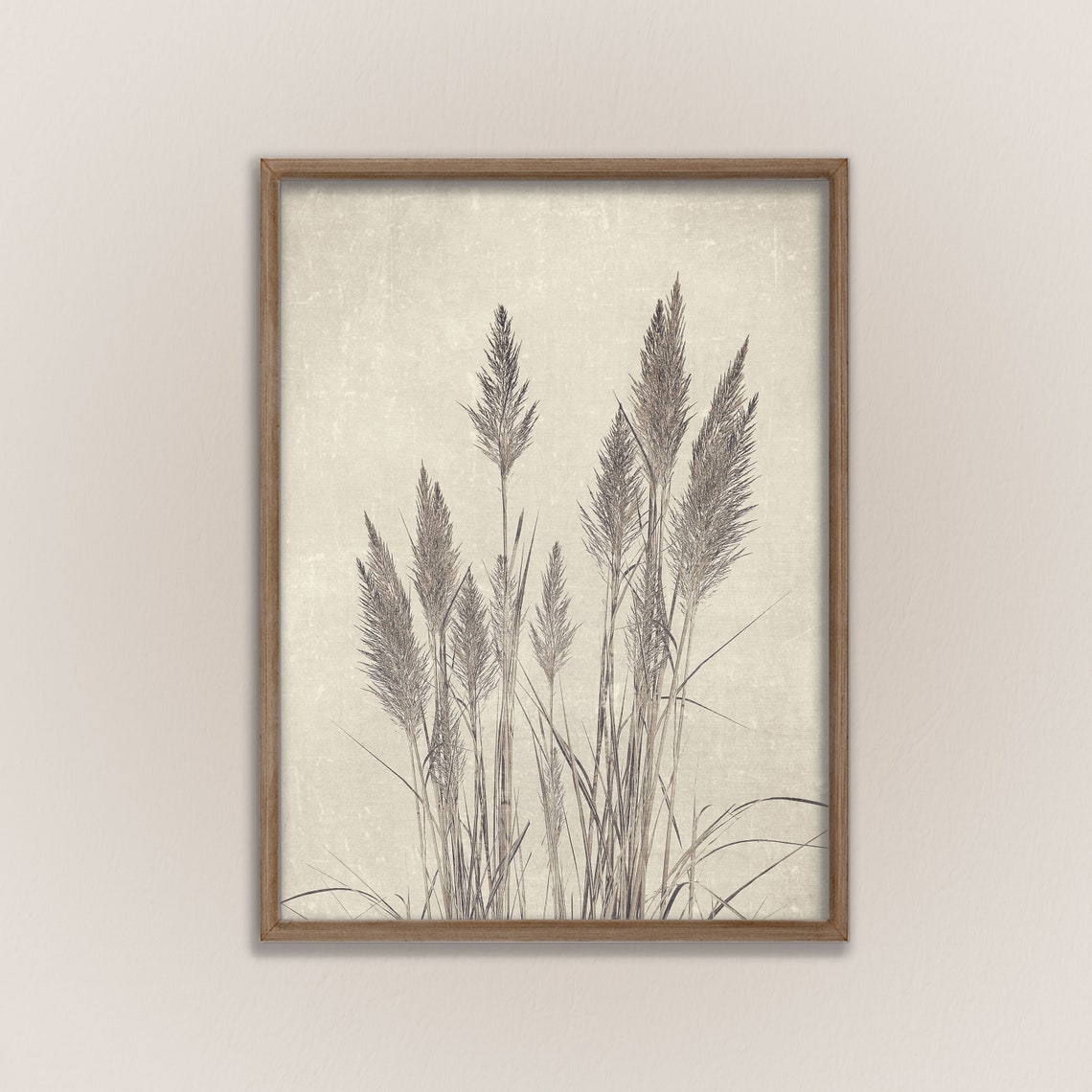 Botanical Sketch Art Pampas Art Print Vintage Botanical - Etsy