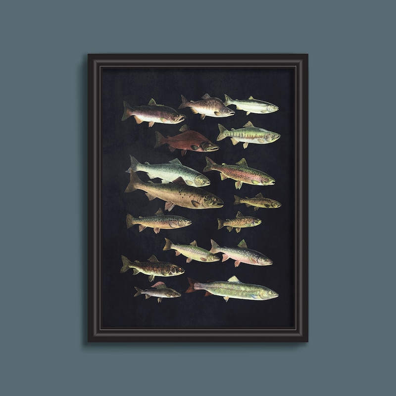 Antique Fish Print - Etsy