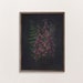 Black Background Botanical Print Dark Botanical Prints Black - Etsy