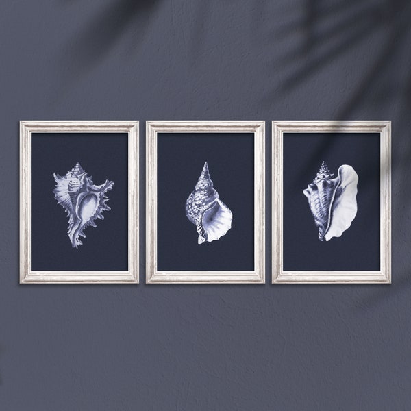 Sea Shell Drawing - Etsy