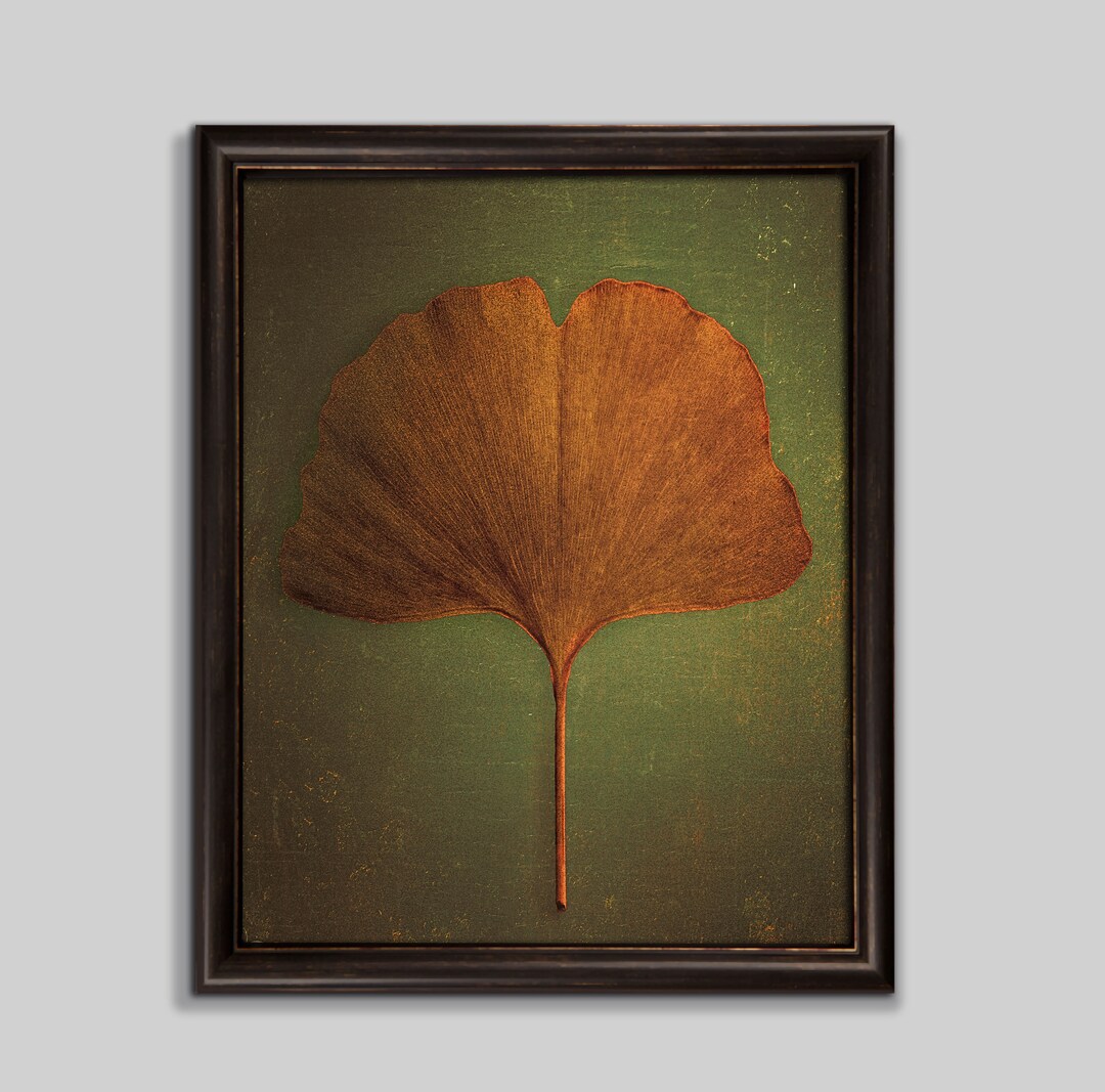 Ginkgo Print, Vintage Botanical Print, Moody Wall Art, Home Decor ...