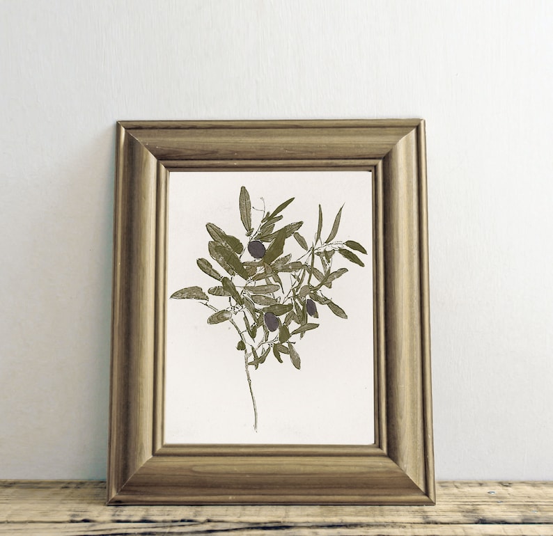 Olive Branch Print Green Leaves Print Vintage Botanical | Etsy