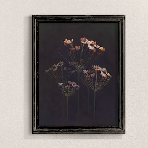 Dark Botanical Print Black Flower Print Dark Floral Wall - Etsy