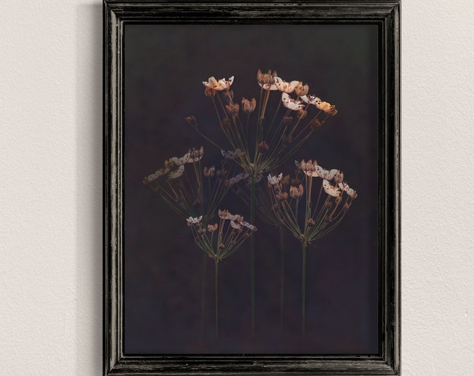 Digital prints ideas - Etsy