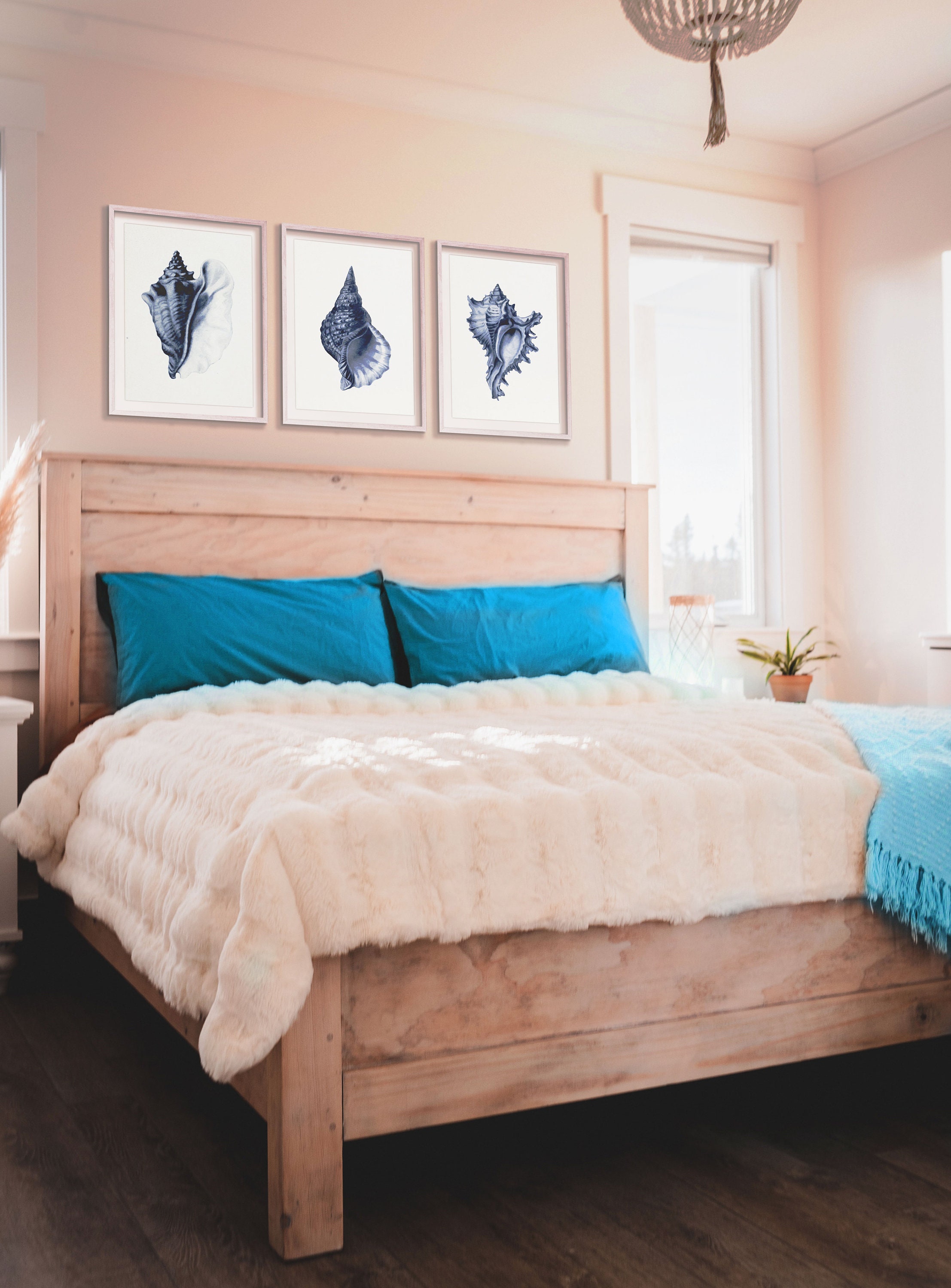 Shell Print Set Set of 3 Print Nautical Prints Set Navy | Etsy UK